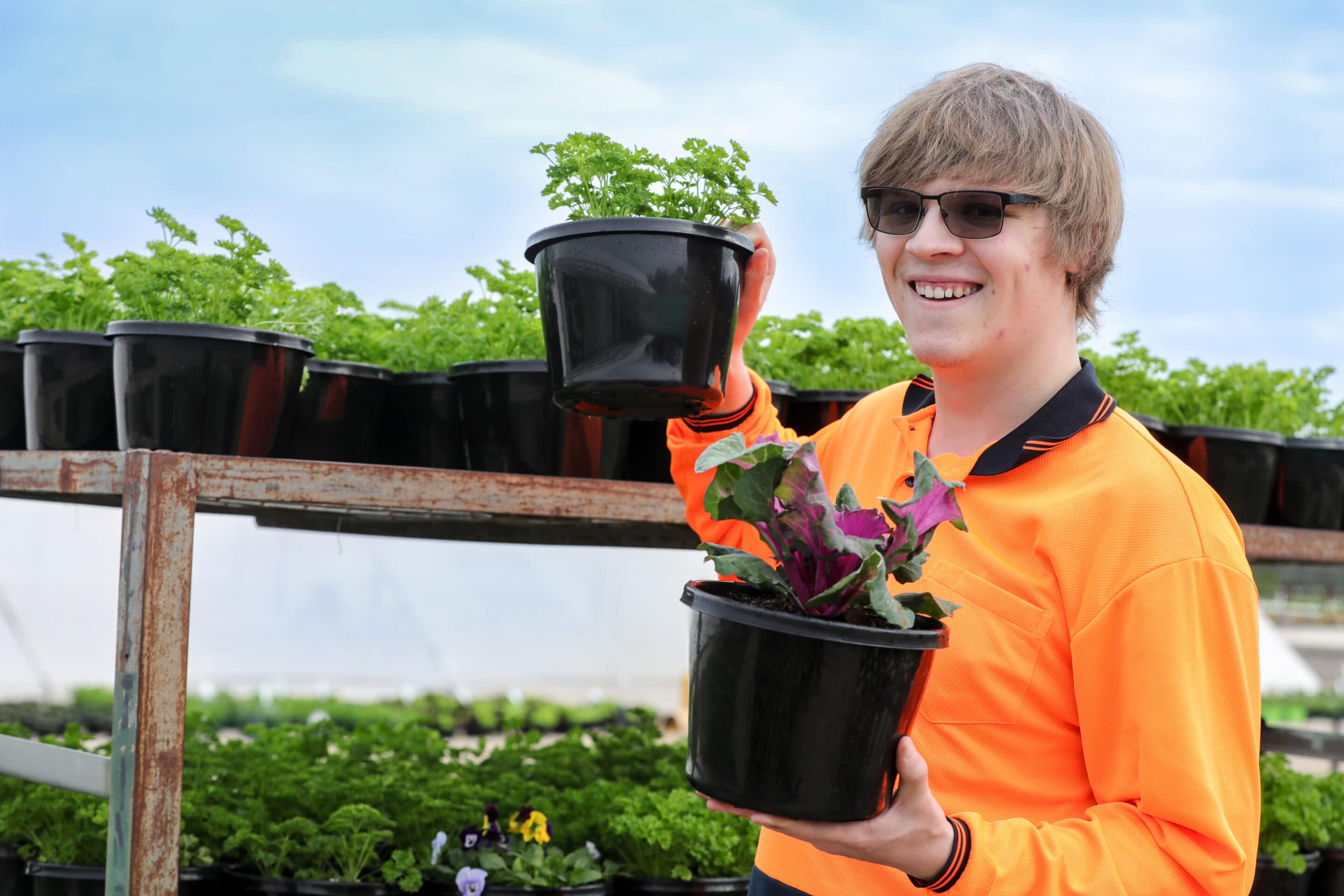 What’s the difference between SLES and DES? | Barkuma